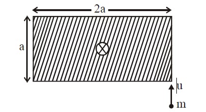 Angular Momentum and Conservation of Angular Momentum - NEET Physics ...